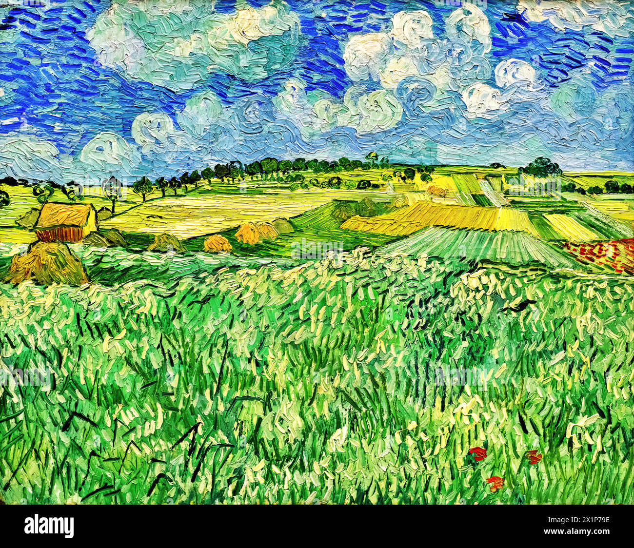 Vedutismo van gogh Immagini Vettoriali Stock - Alamy