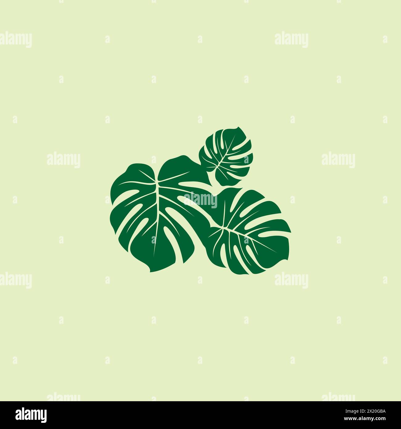 Monstera deliciosa leaves Immagini Vettoriali Stock - Alamy