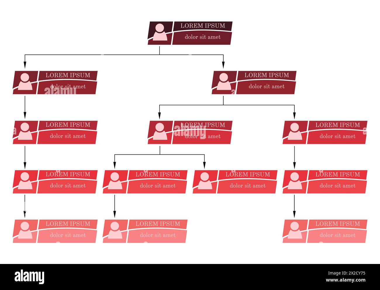 Organizational chart infographic business flowchart immagini e ...