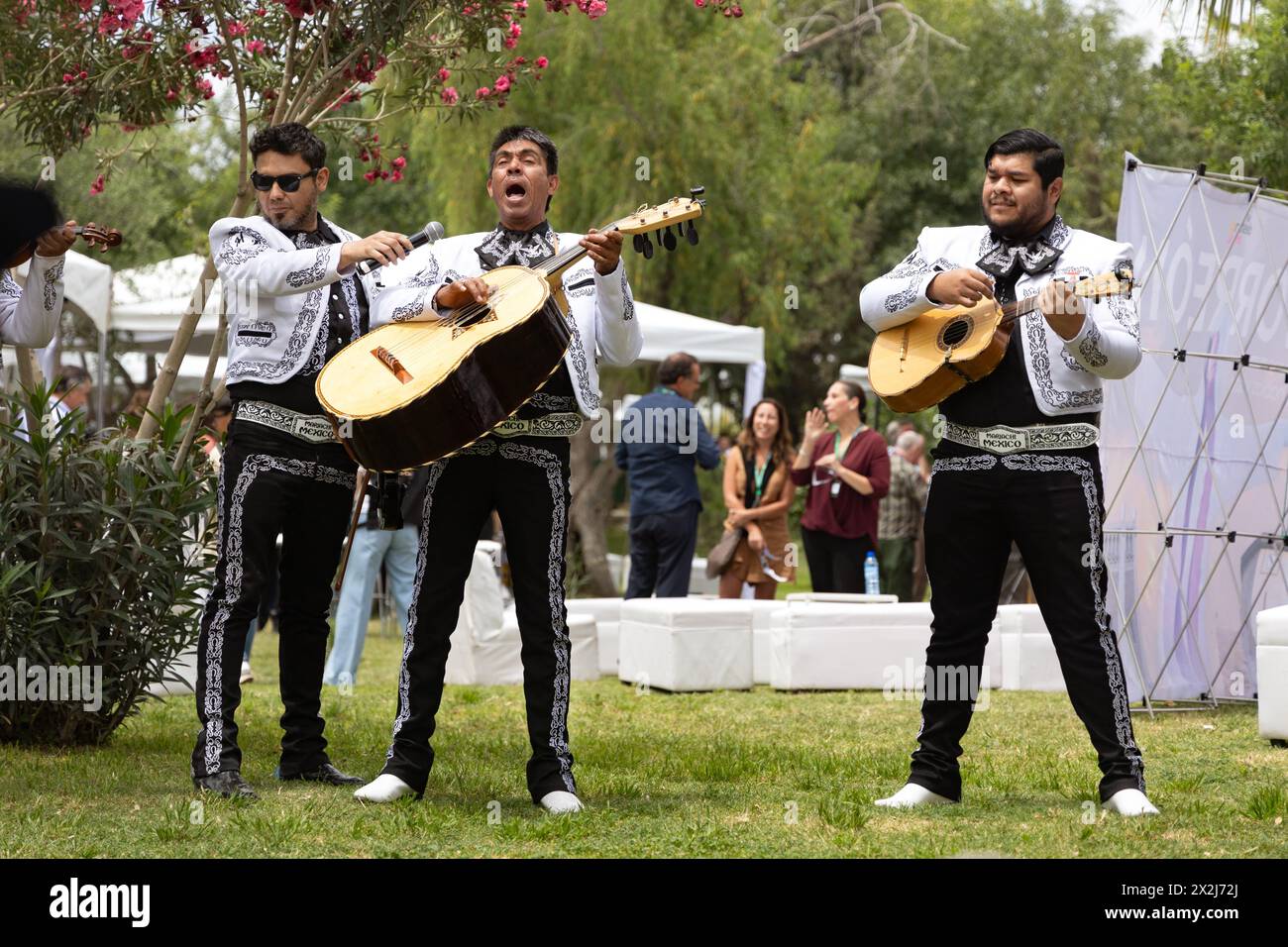 Músicos tradicionales mexicanos immagini e fotografie stock ad alta ...