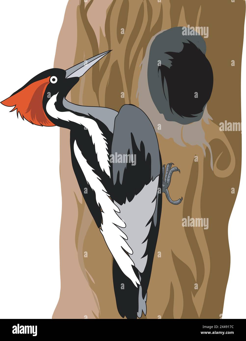 Tronco d'albero buco del nido Immagini Vettoriali Stock - Alamy