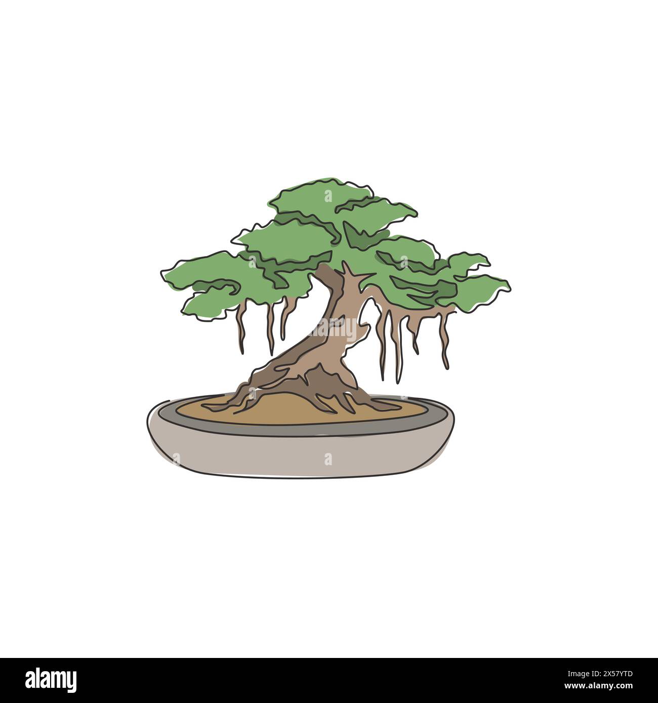 Old banyan tree Immagini Vettoriali Stock - Alamy