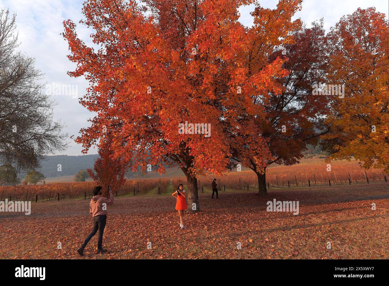 5 maggio 2024, Melbourne, Victoria, Australia: Persone che si godono ...