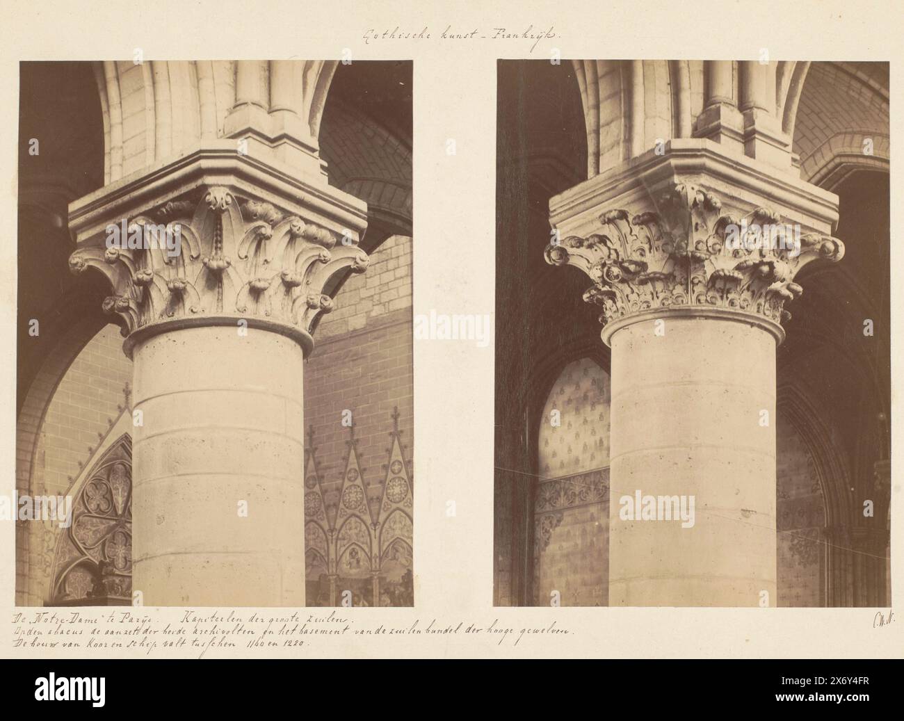 Foglia di acanto stilizzata immagini e fotografie stock ad alta ...