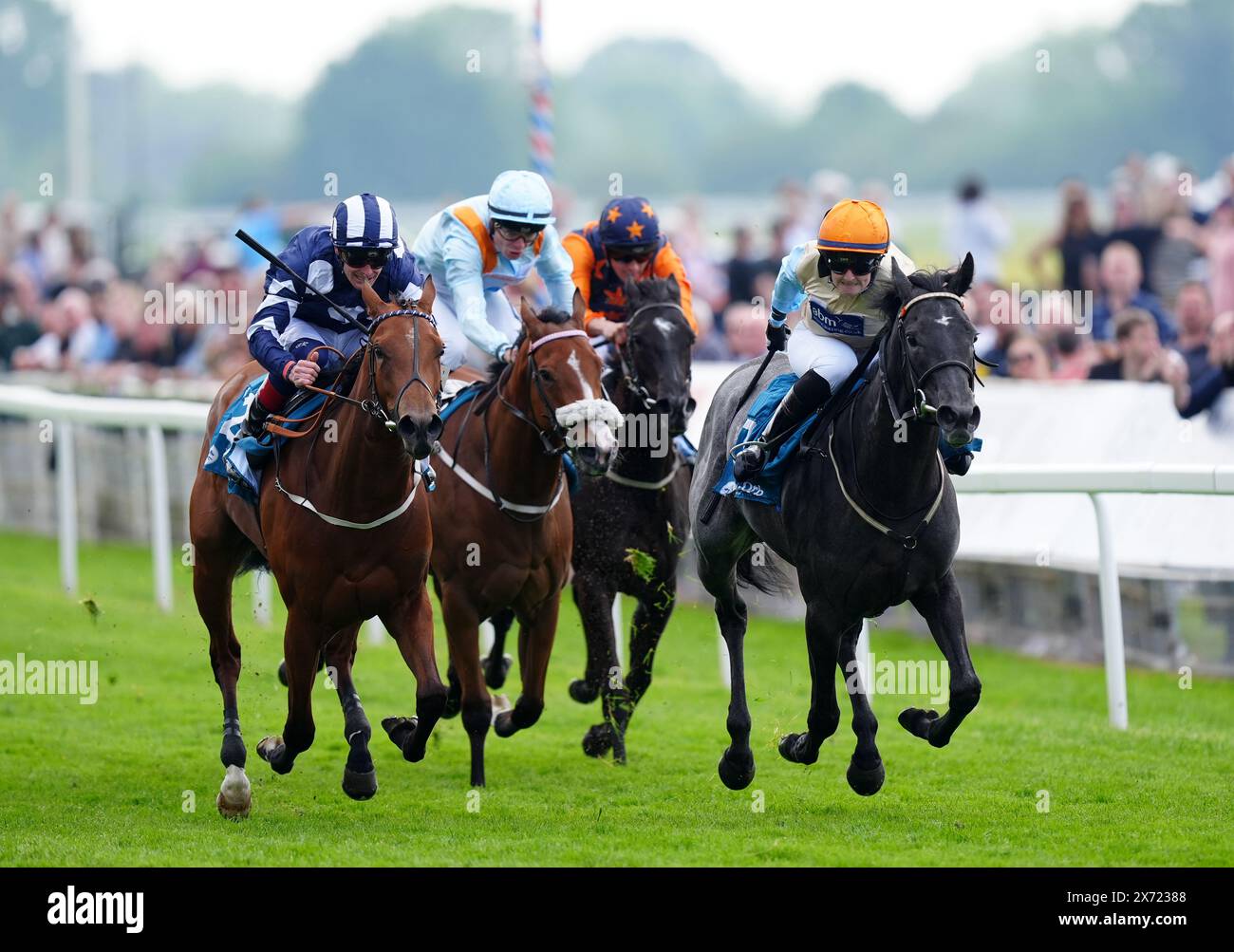 Georgia pa2024 pa2024 pa2024 pa2024 pa2024 pa2024 pa2024 pa2024 pa2024 ...