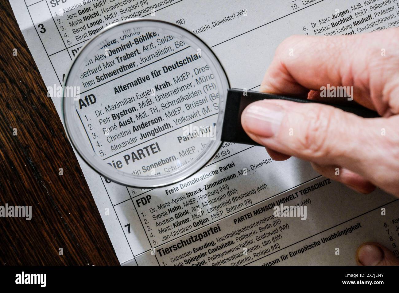 AFD, Kandidaten Maximilian Krah und Petr Bystron, Stimmzettel ...