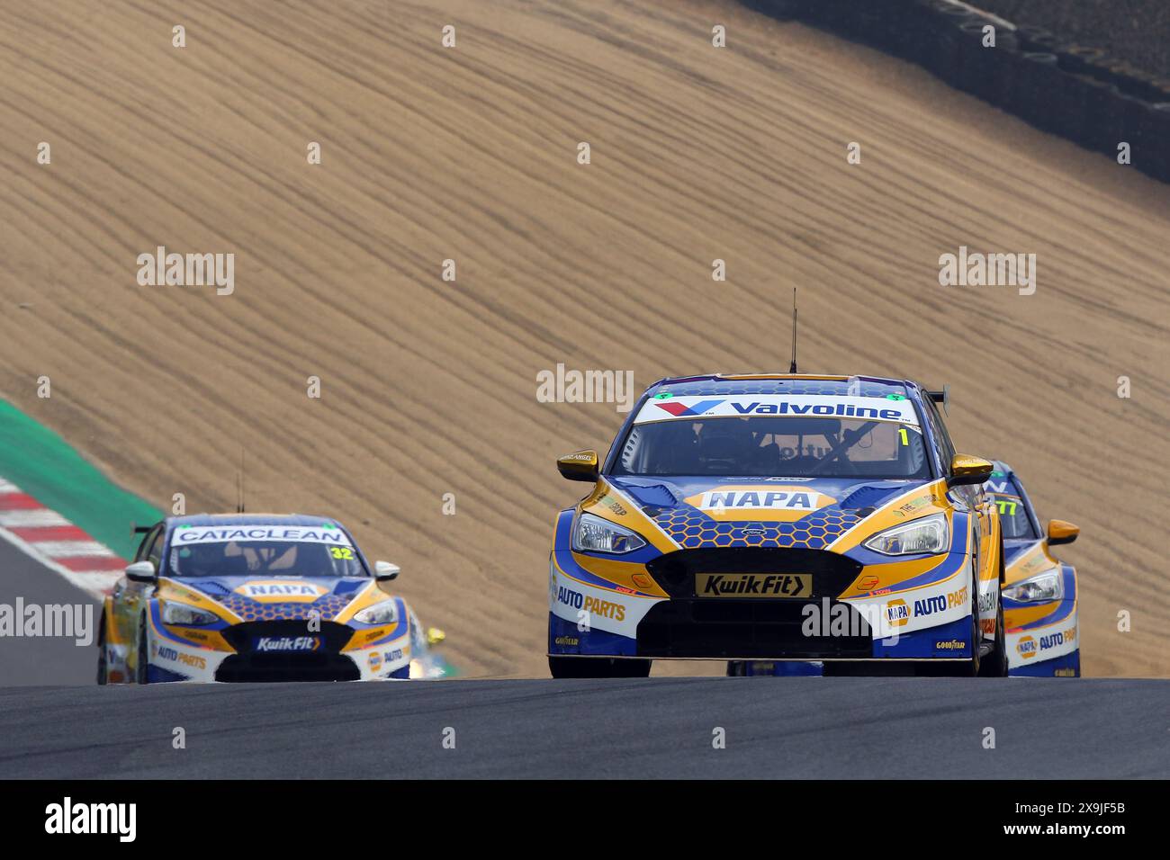 Ashley Sutton - Napa Racing UK - alla guida della Ford Focus ST numero ...