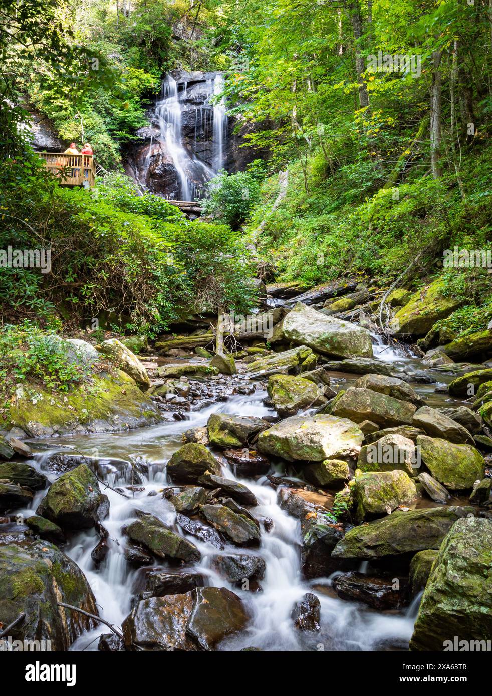 Anna ruby falls trail immagini e fotografie stock ad alta risoluzione ...