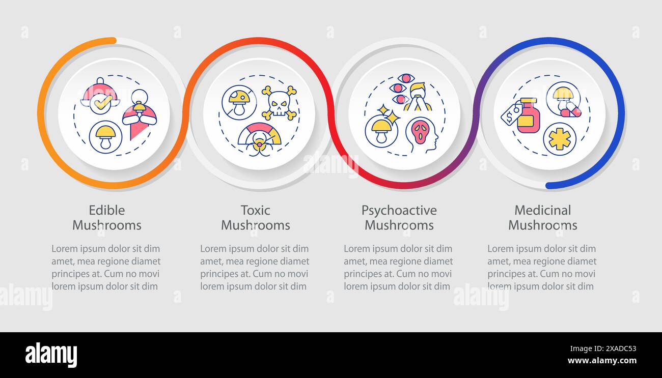 Tipi di funghi Immagini Vettoriali Stock - Alamy