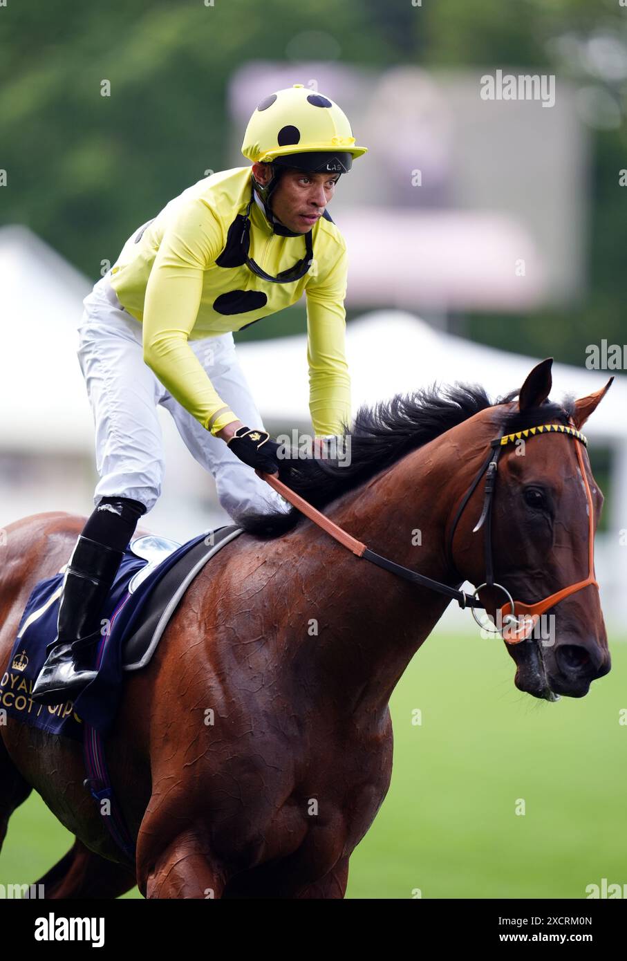 Sean Levey a bordo della Rosallion dopo aver vinto il St James's Palace ...