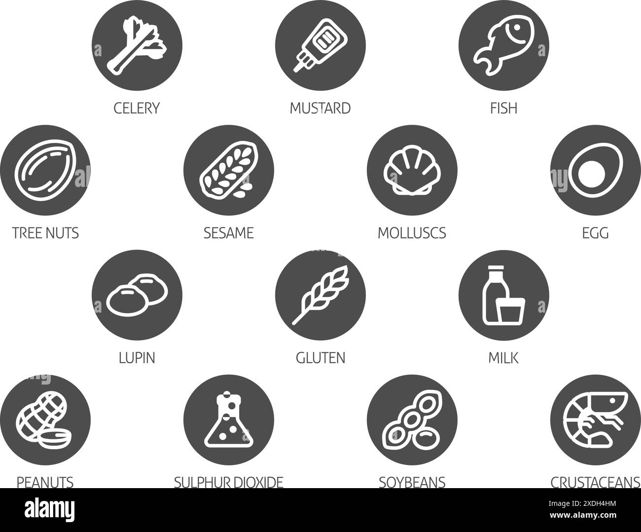 Allergeni alimentari Foto e Immagini Stock in Bianco e Nero - Alamy