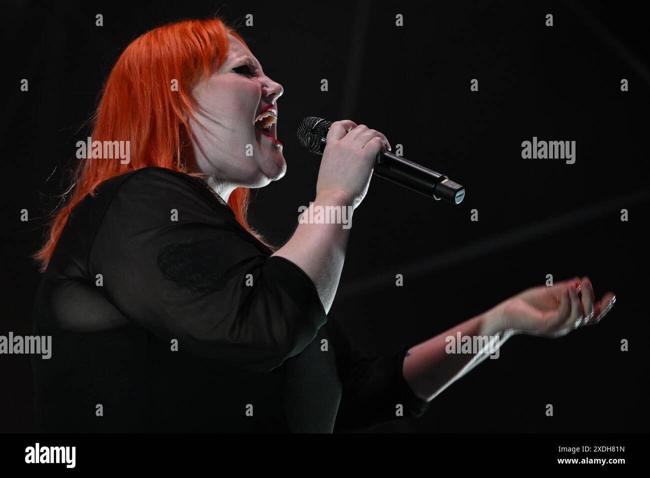 Beth Ditto durante il Gossip Live Tour 2024 al Villa Ada Festival ...