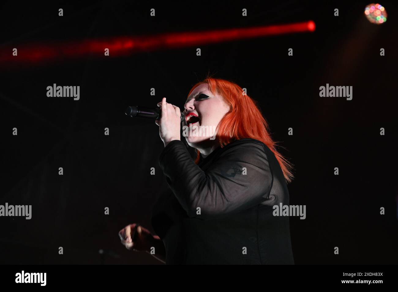 Beth Ditto durante il Gossip Live Tour 2024 al Villa Ada Festival ...
