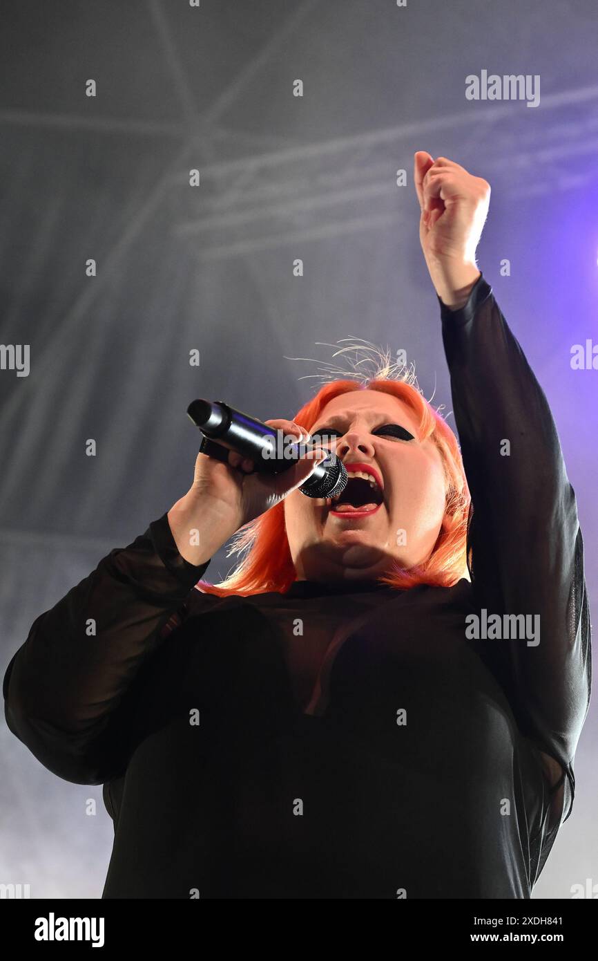 Beth Ditto durante il Gossip Live Tour 2024 al Villa Ada Festival ...