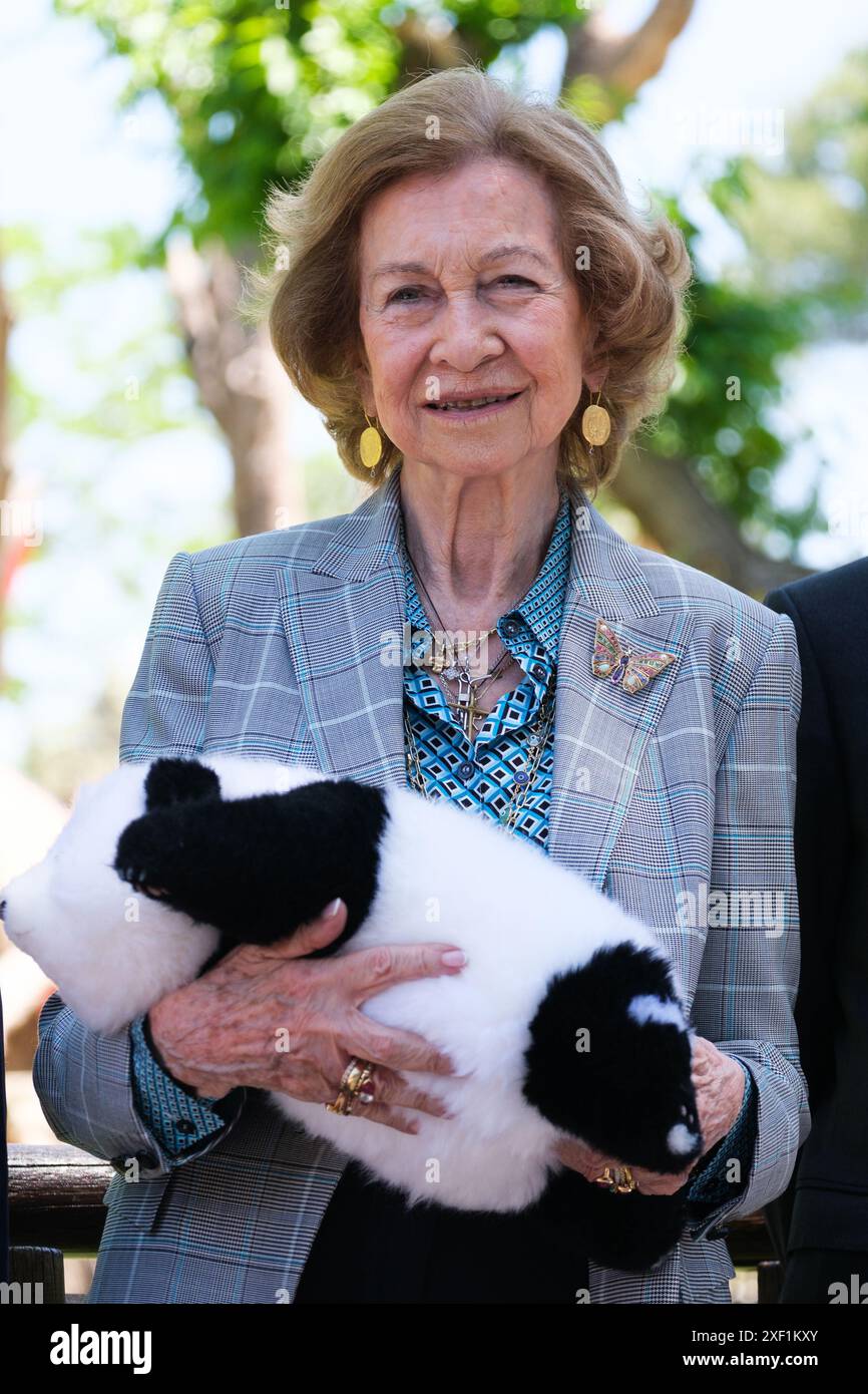 La regina Sofia partecipa alla presentazione dei due nuovi Pandas allo zoo di Madrid con: La ...