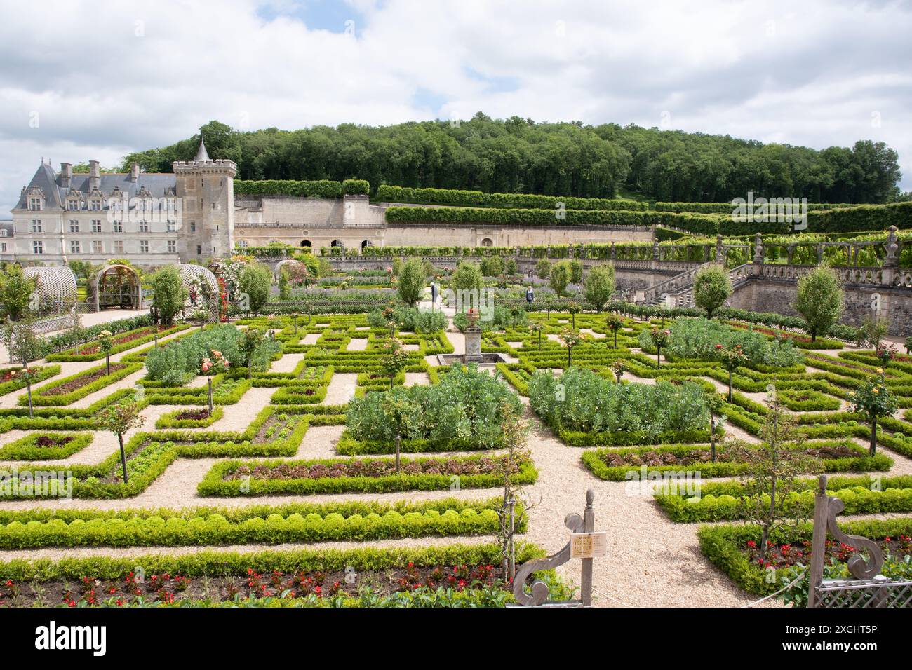 Giardini a chateau de villandry immagini e fotografie stock ad alta ...