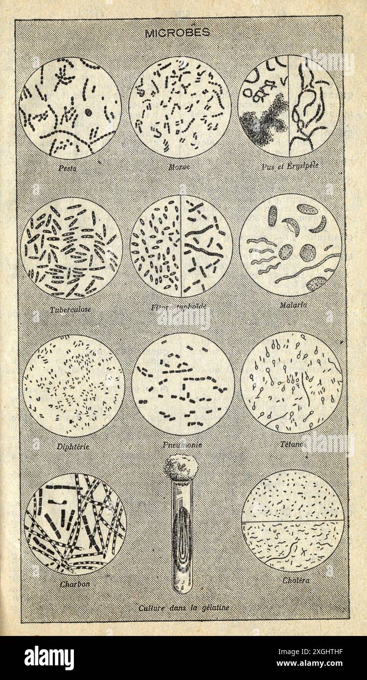 Dessin ancien immagini e fotografie stock ad alta risoluzione - Alamy