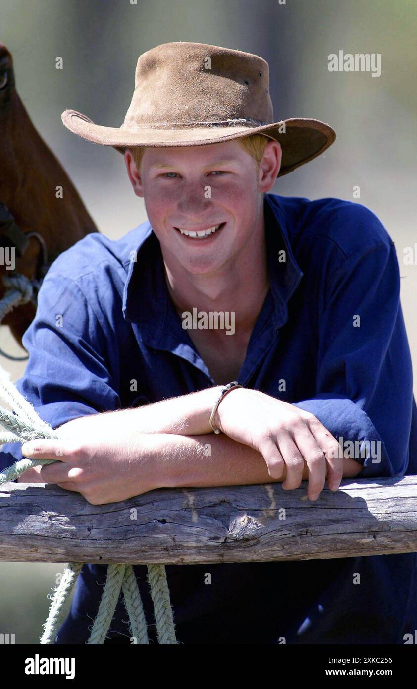 Duca di sussex immagini e fotografie stock ad alta risoluzione - Alamy