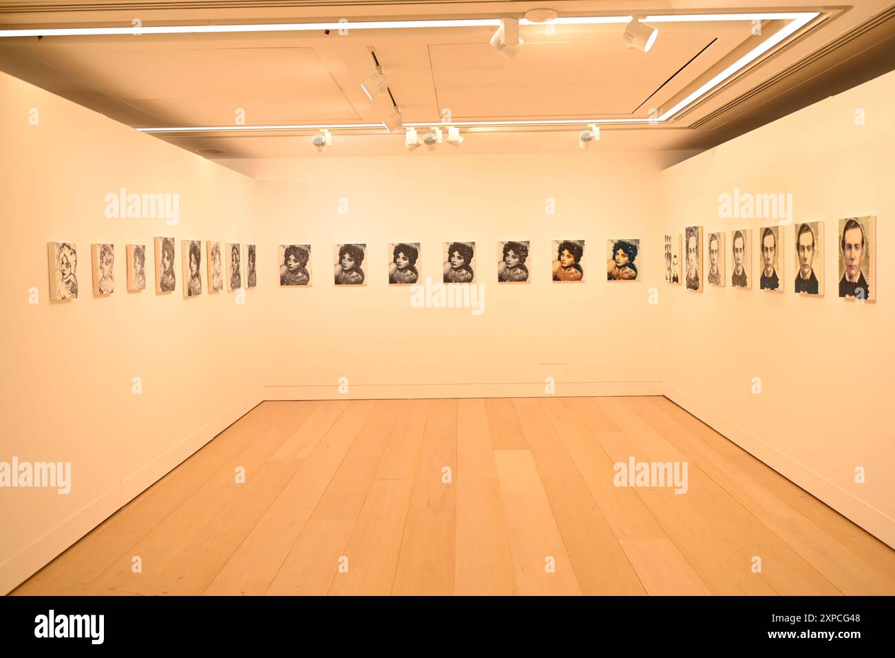 L'ultima serie di Damien Hirst, The Civilisation Paintings, è in mostra ...