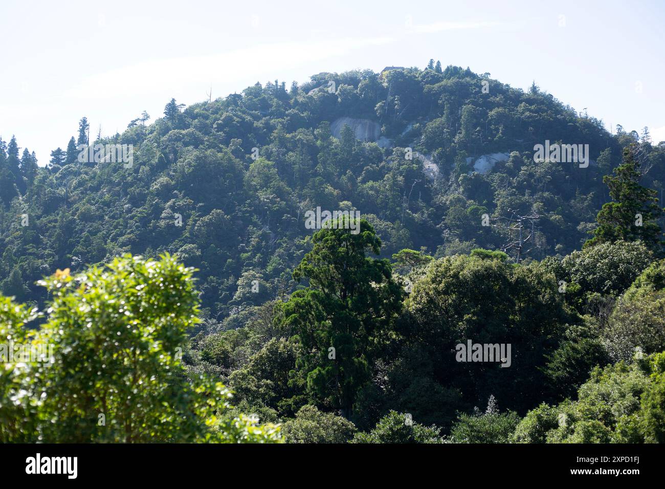Miyajima ropeway hatsukaichi japan immagini e fotografie stock ad alta ...