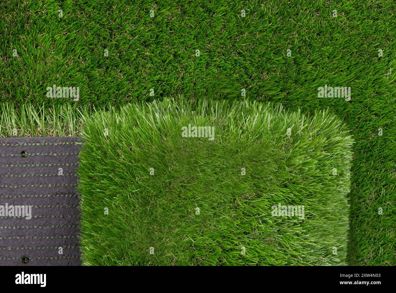 Grass types immagini e fotografie stock ad alta risoluzione - Alamy