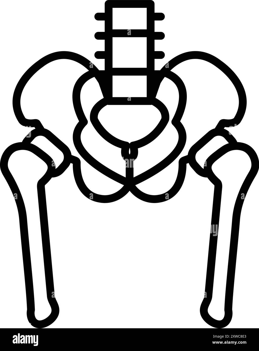 Modello di scheletro umano di uno scheletro Immagini Vettoriali Stock ...