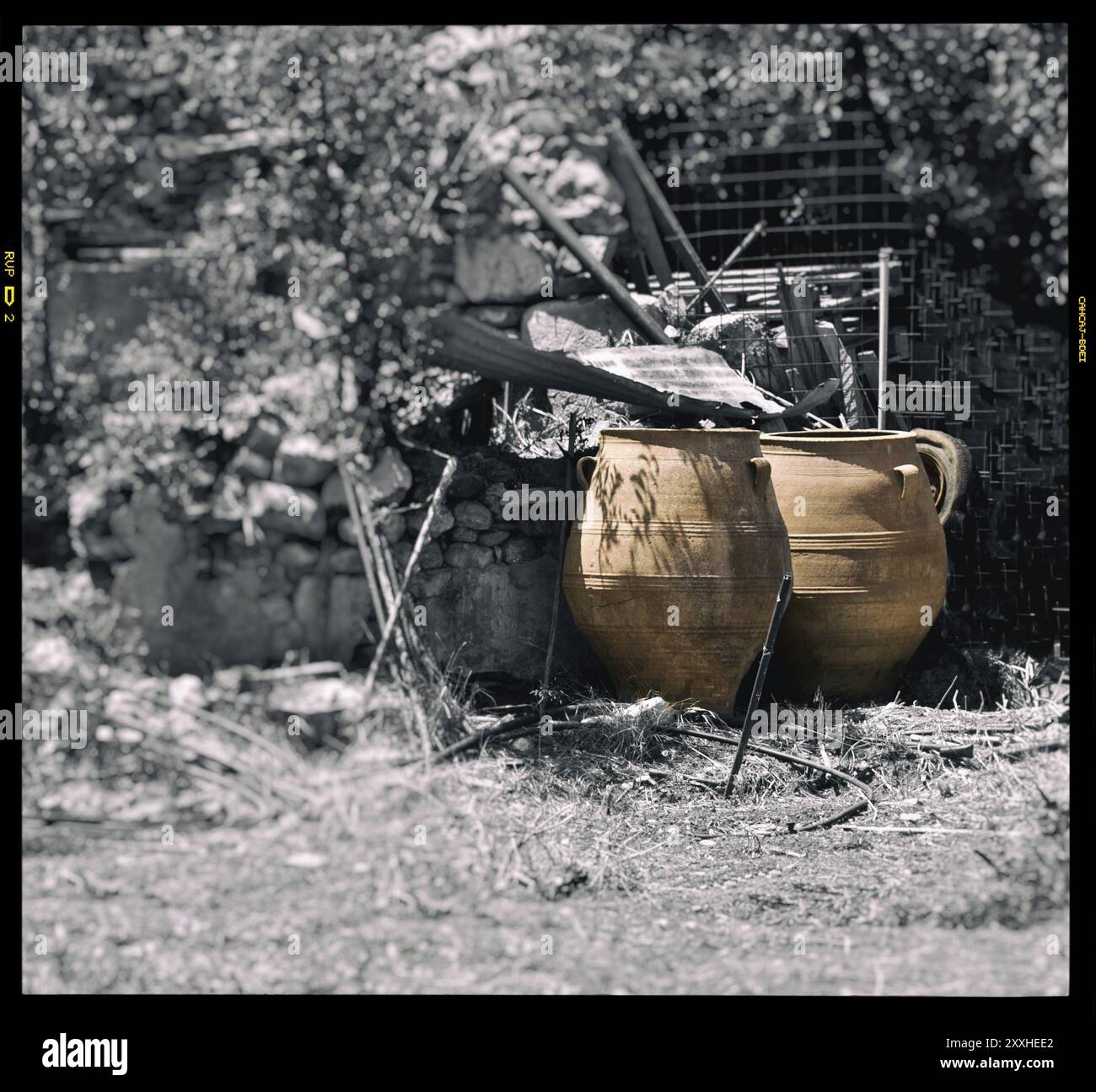 Anfore greche immagini e fotografie stock ad alta risoluzione - Alamy