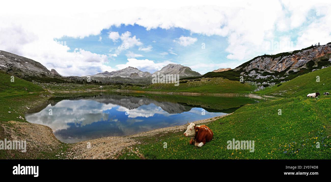 Limousine lago immagini e fotografie stock ad alta risoluzione - Alamy