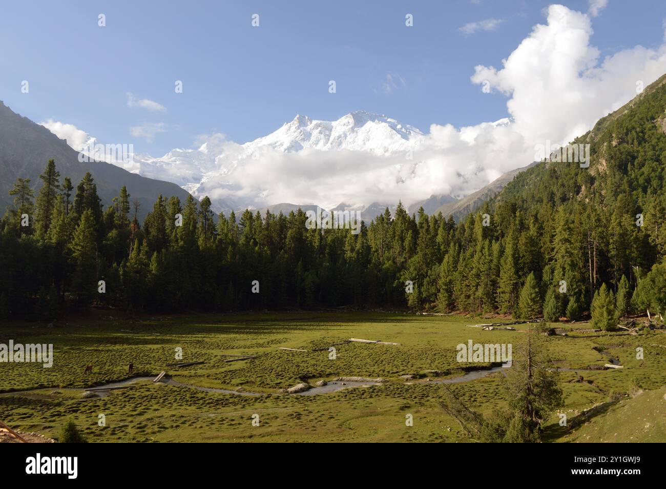 Nanga parbat base camp immagini e fotografie stock ad alta risoluzione ...