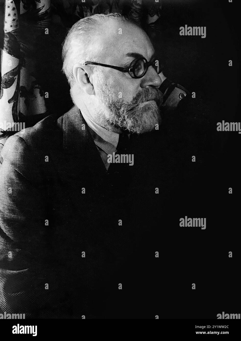 La fotografia mostra Henri Matisse, un artista maschile, bianco ...
