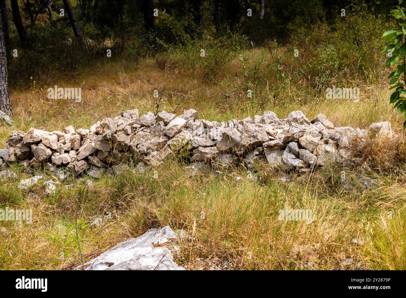 Muro a secco dalmata immagini e fotografie stock ad alta risoluzione ...