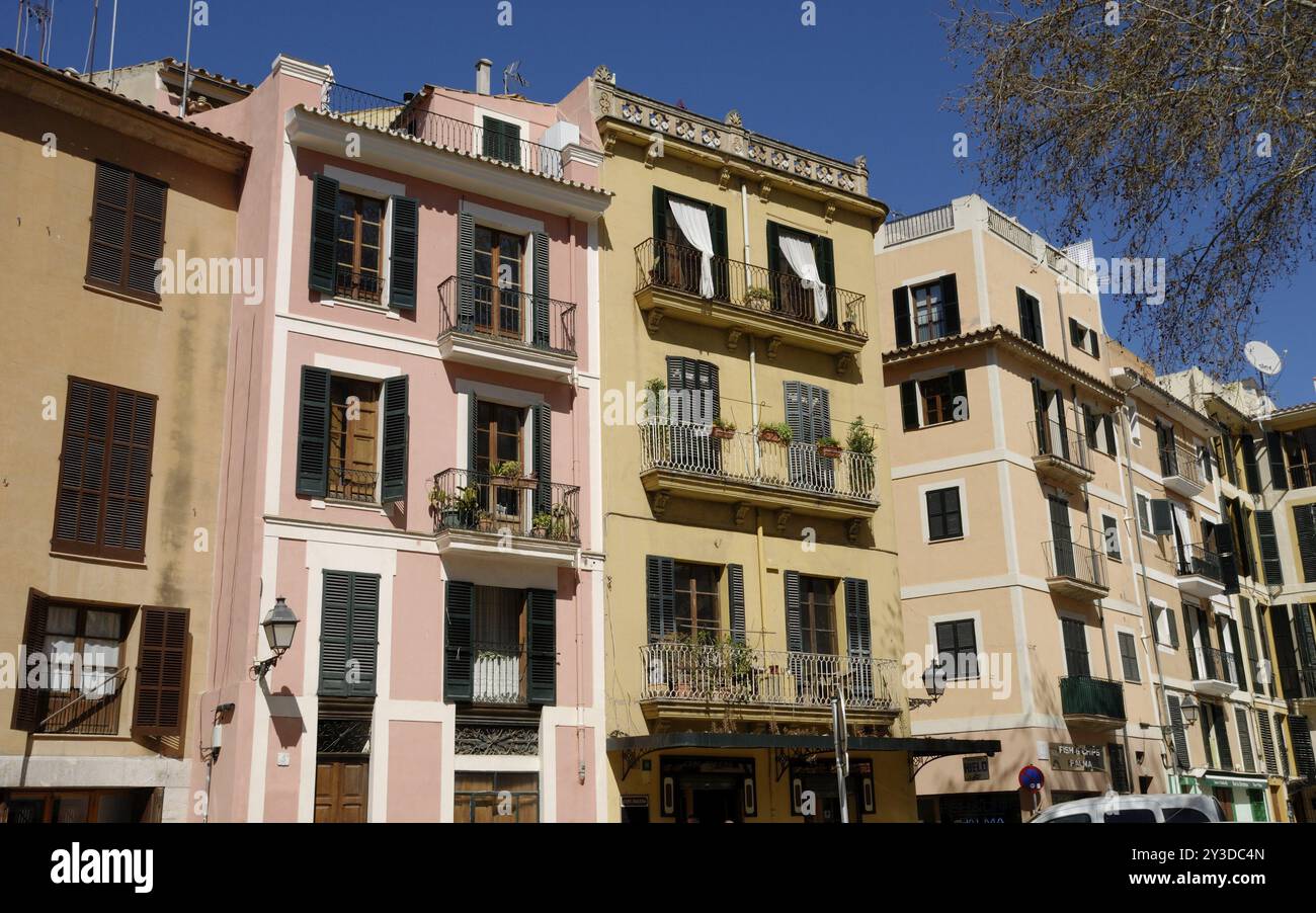 Maiorca drassana immagini e fotografie stock ad alta risoluzione - Alamy