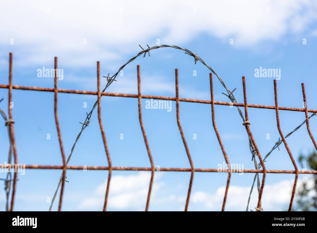 Recinzione metallica con filo spinato immagini e fotografie stock ad ...