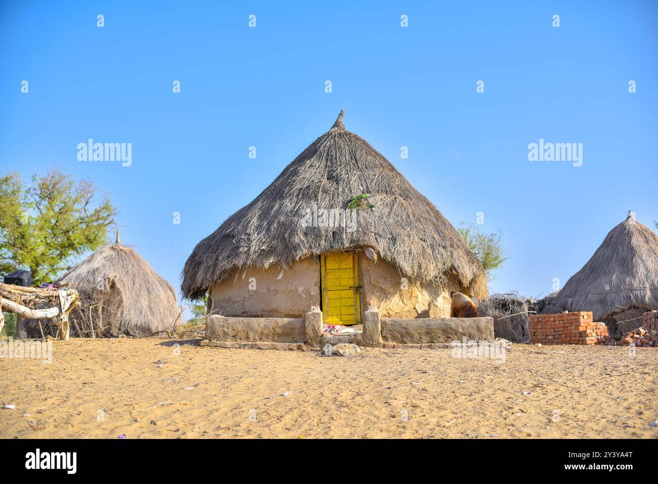 Tharparkar thar immagini e fotografie stock ad alta risoluzione - Alamy