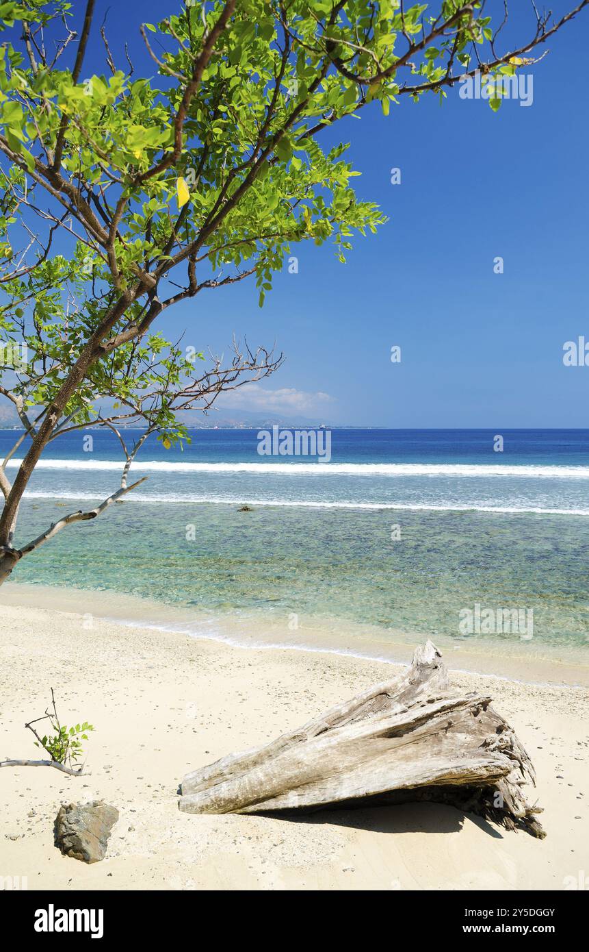 Spiagge di timor leste immagini e fotografie stock ad alta risoluzione ...