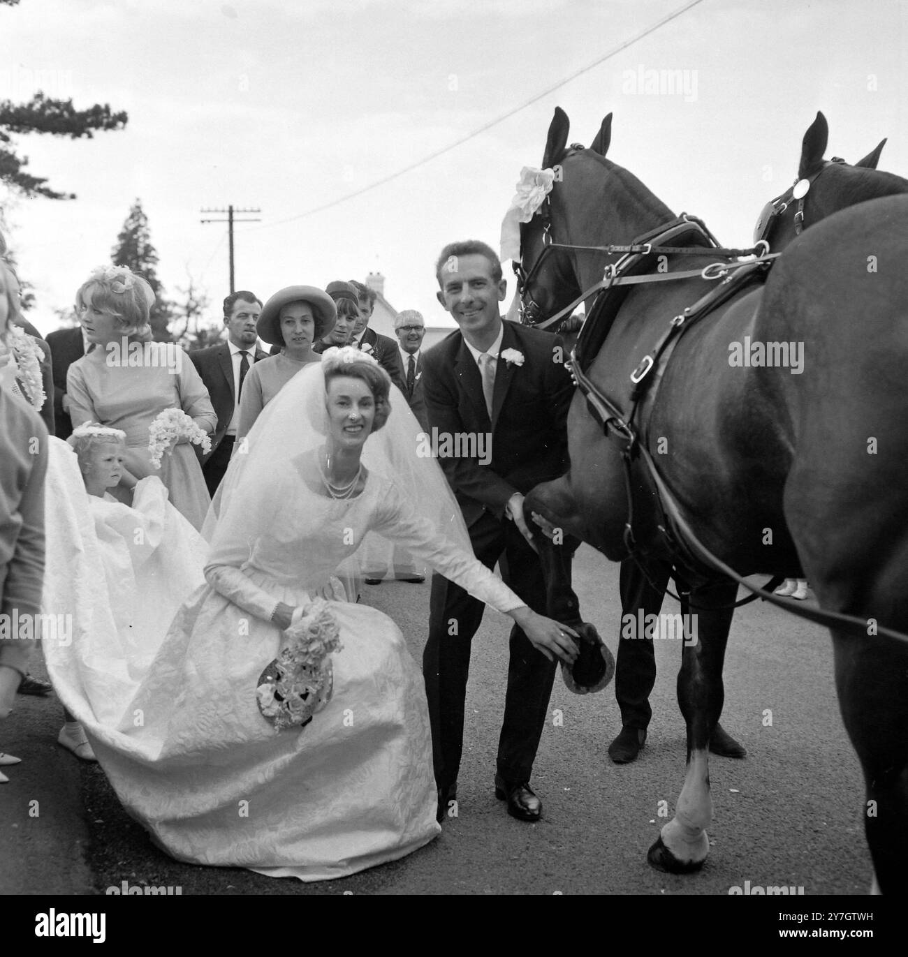 Brian williams immagini e fotografie stock ad alta risoluzione - Alamy