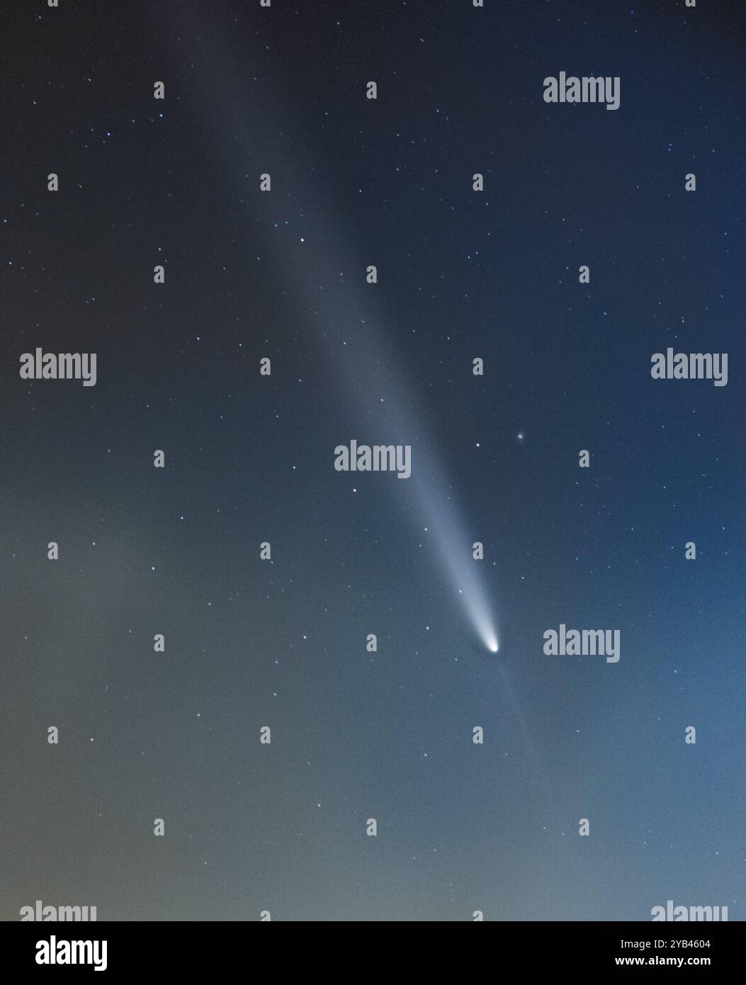 Cometa del secolo C/2023 A3 (ATLANTE Tsuchinshan) con coda luminosa e ...