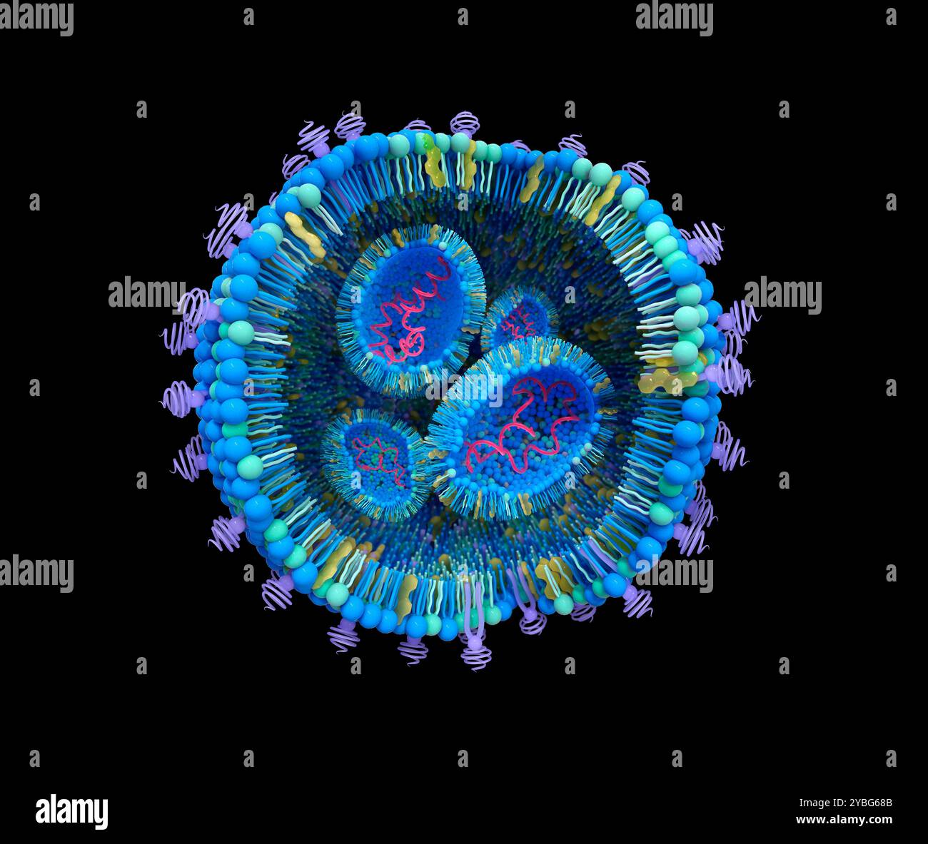 Struttura delle nanoparticelle lipidiche immagini e fotografie stock ad ...