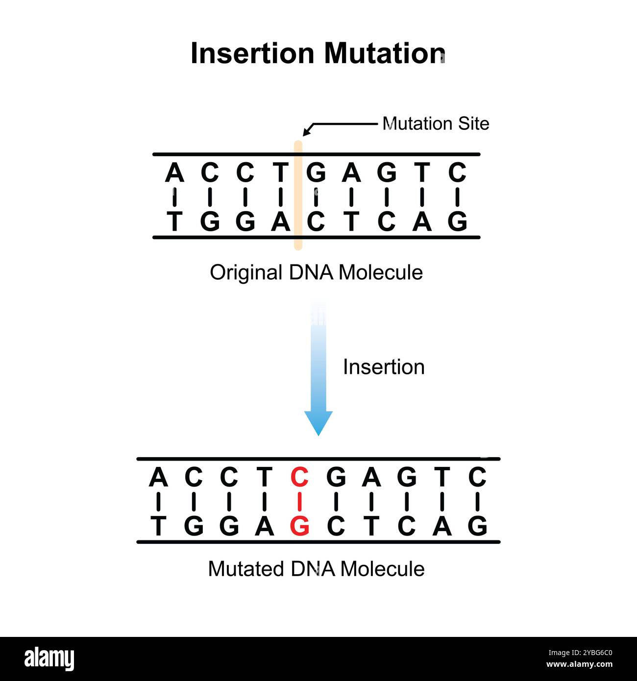 Mutazioni mutazione genetica immagini e fotografie stock ad alta ...