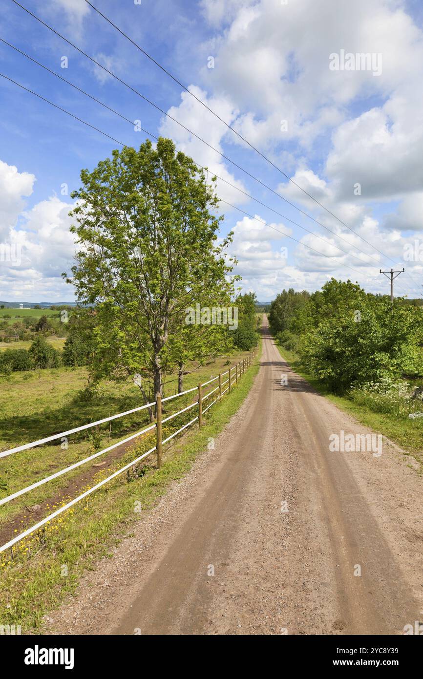 Strada di campagna non asfaltata immagini e fotografie stock ad alta ...