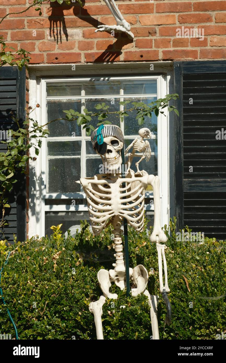 Scheletro scalata halloween immagini e fotografie stock ad alta ...