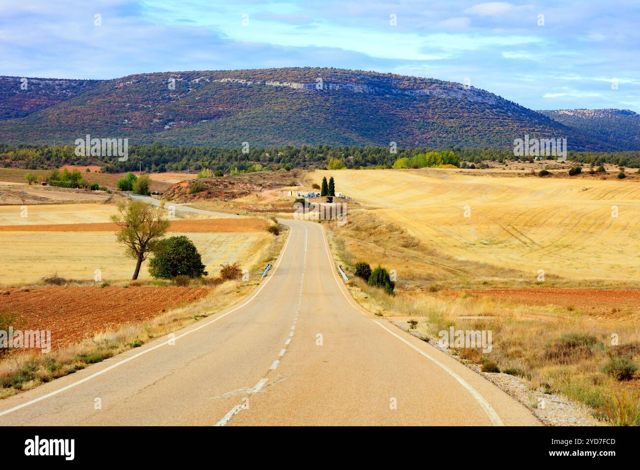 Alberi tra i campi immagini e fotografie stock ad alta risoluzione - Alamy