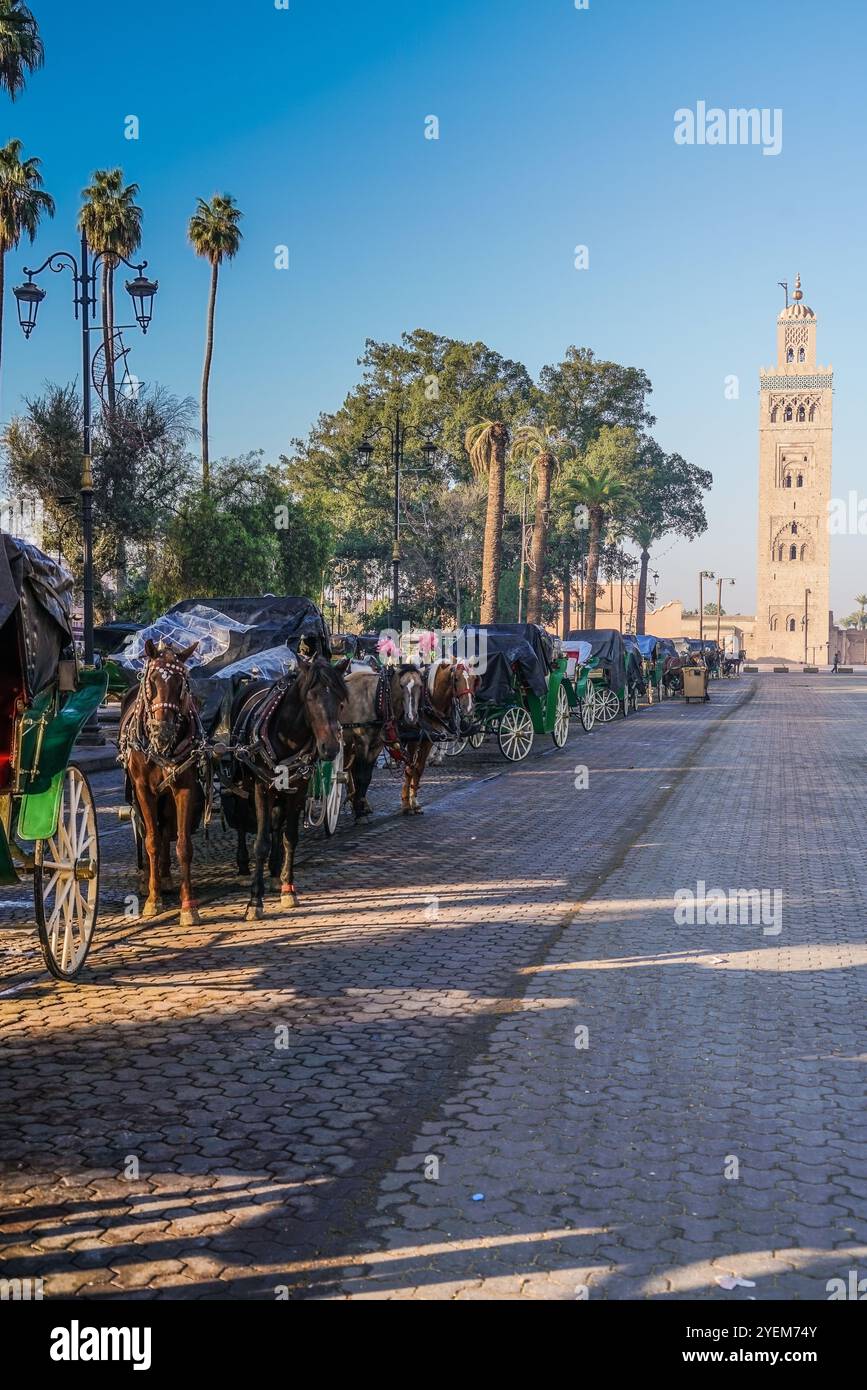 Centro di marrakech immagini e fotografie stock ad alta risoluzione - Alamy