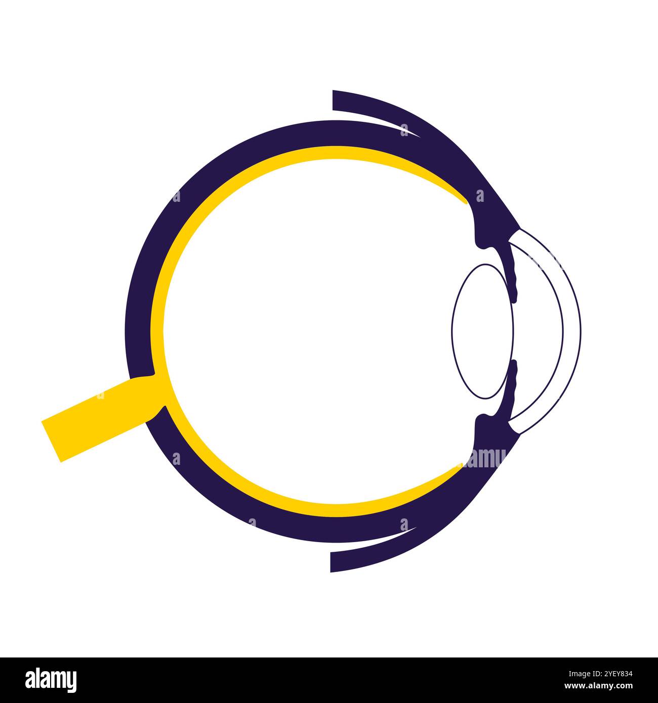 Partes del ojo con ilustración immagini e fotografie stock ad alta ...