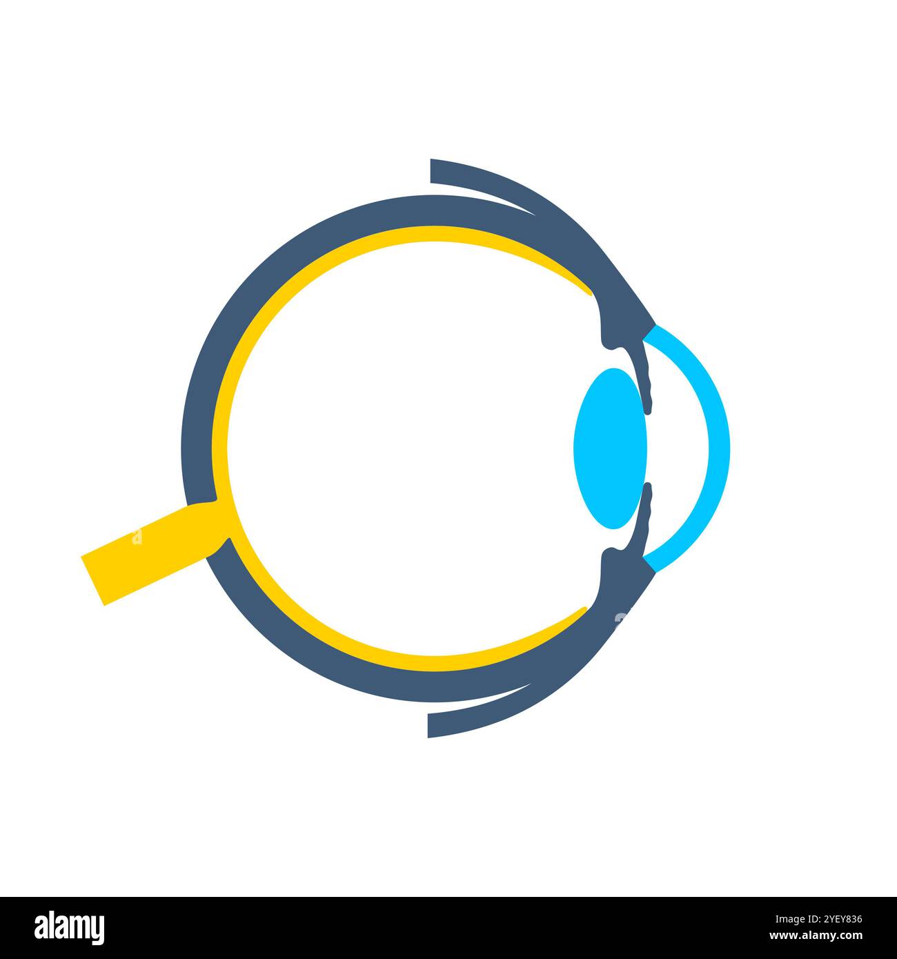 Partes del ojo con ilustración immagini e fotografie stock ad alta ...