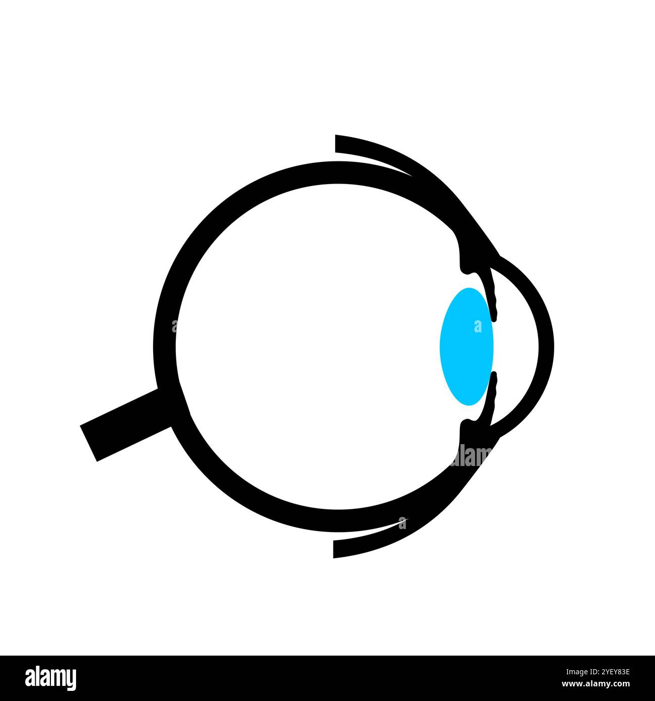 Partes del ojo con ilustración immagini e fotografie stock ad alta ...