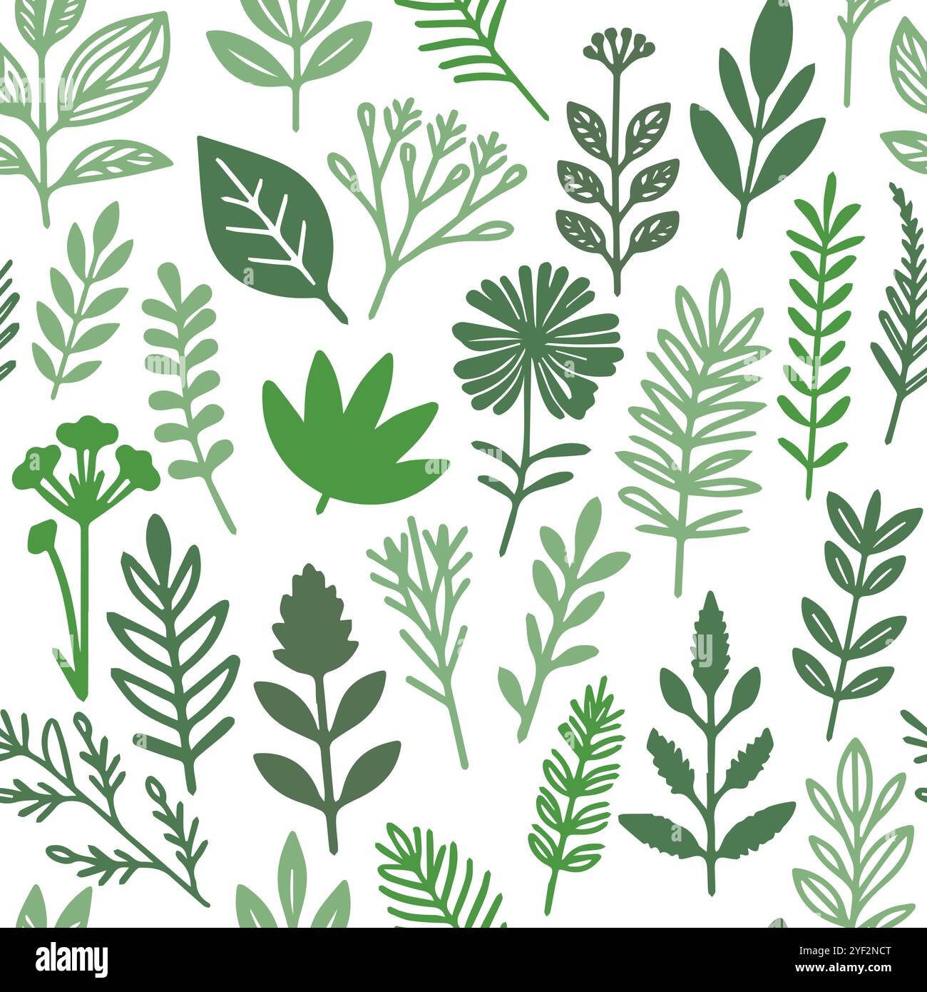 Specie flora Immagini Vettoriali Stock - Alamy