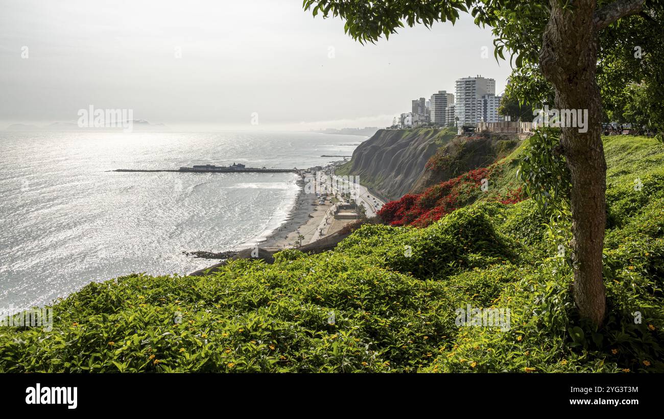 Spiagge dell'america latina immagini e fotografie stock ad alta ...