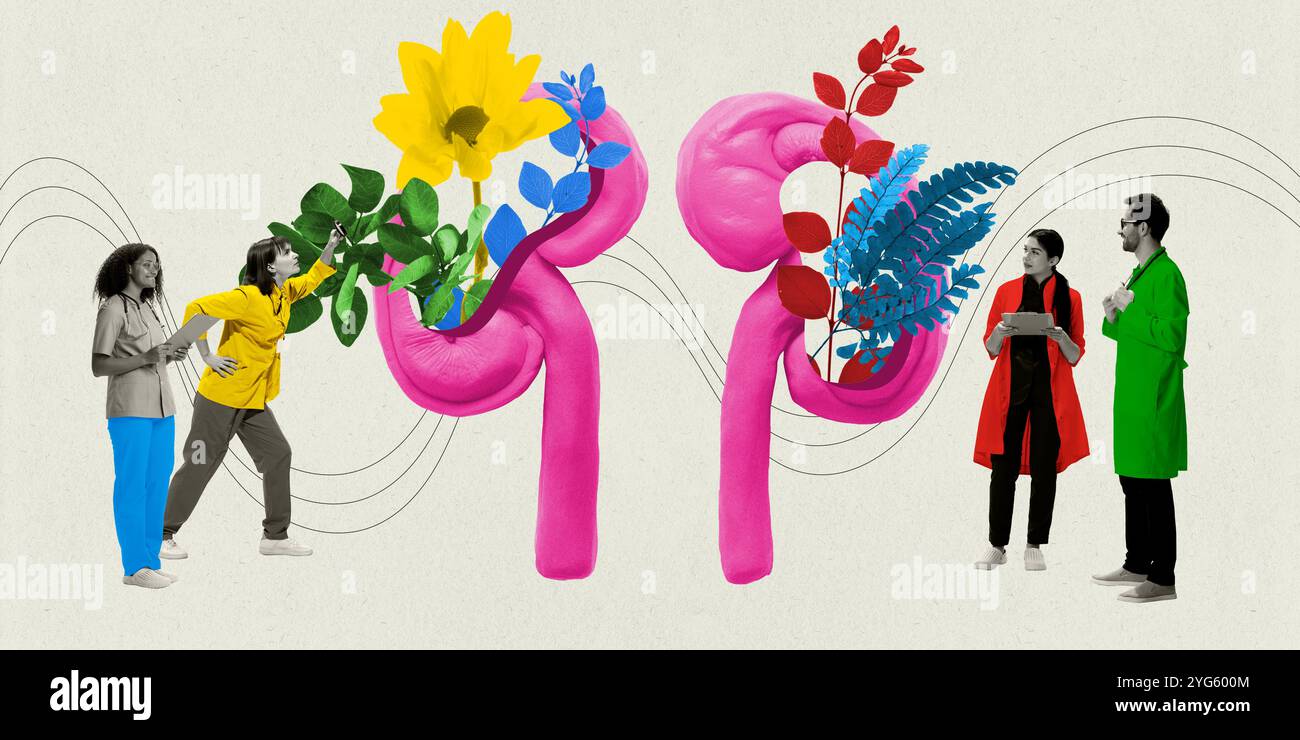 Anatomia dei reni immagini e fotografie stock ad alta risoluzione - Alamy