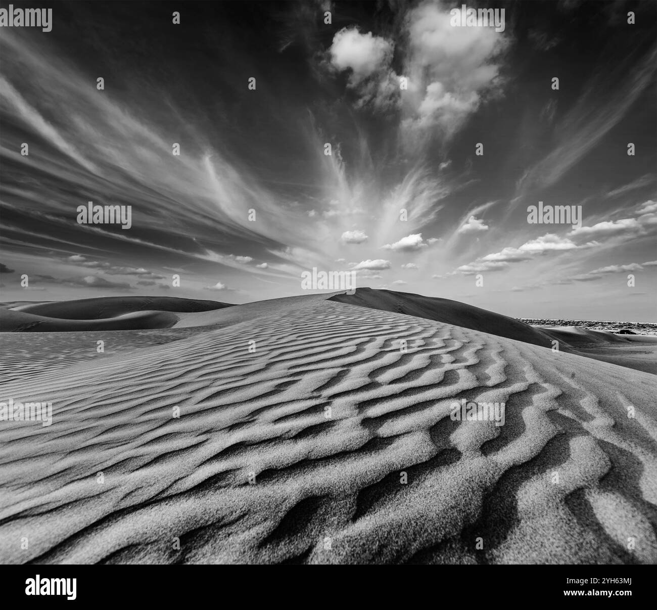 Deserto del thar thar Foto e Immagini Stock in Bianco e Nero - Alamy